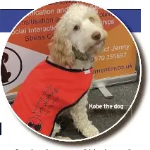 Kobe has been the paw-fect companion for school pupils - PressReader