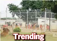 Trending Trendingst­ories stories - PressReader