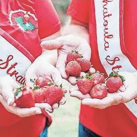 Strawberry Festival begins today - PressReader