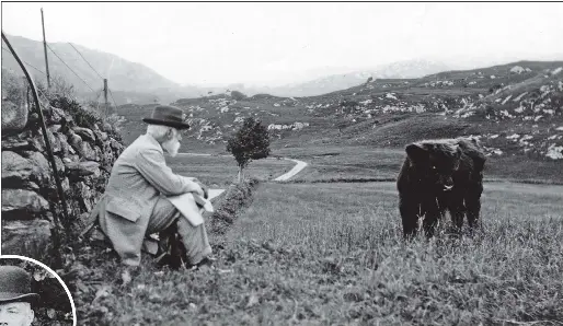 Ardtornish Highland cattle fold - PressReader