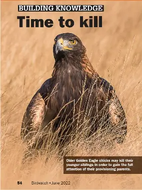 Time to kill - PressReader