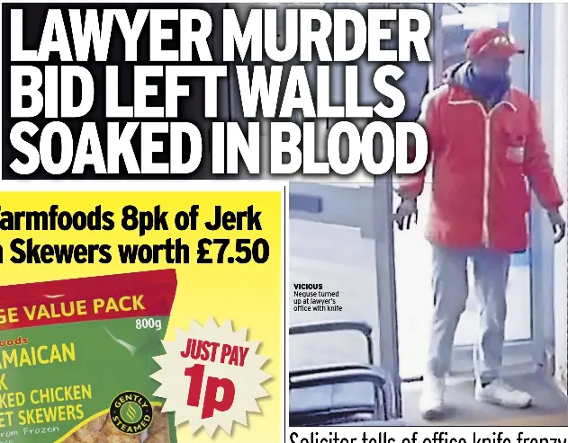 LAWYER MURDER BID LEFT WALLS SOAKED IN BLOOD - PressReader