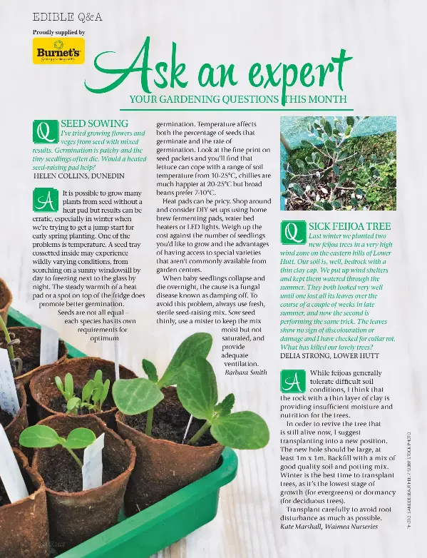 Ask our experts - PressReader