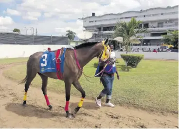 Fillies Nerissa’s Angel, Firecracke­r make winning starts - PressReader