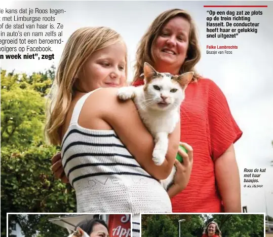 ‘Roos, de kat van Diest’ verovert Facebook met haar avonturen - PressReader