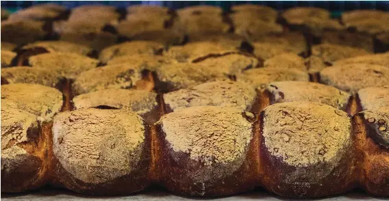 The Maypole brand and business model – a story of success - PressReader