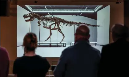 ‘Trinity’ the T-Rex skeleton sells for $6m to private collector ...