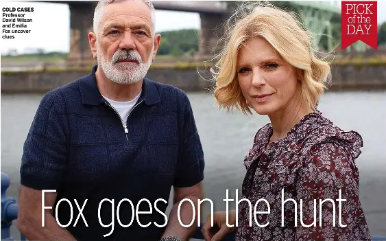 Fox goes on the hunt - PressReader