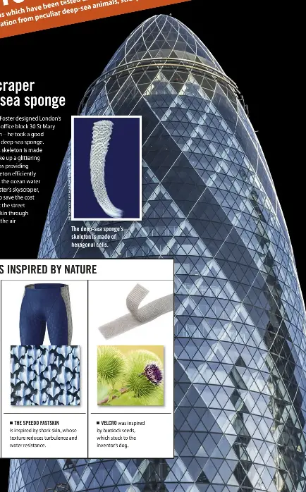 London skyscraper copies deep-sea sponge - PressReader