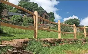 GREEN SCENE - PressReader