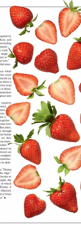 Strawberri­es Serving up ace fruits at Wimbledon | The Observer - The ...
