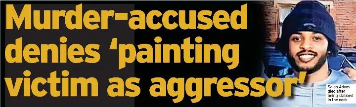 News denies ‘painting victim as aggressor’ - PressReader