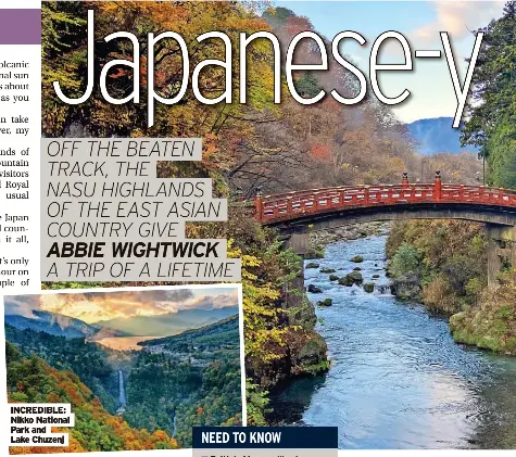 Japanese-y Does it - PressReader