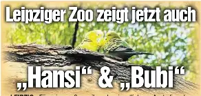 Grete Beiers Richtsaal wird saniert - PressReader