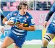 Time for Stormers to back Fouché - PressReader