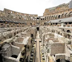 ANIMAL BONES, ANCIENT ROMANS’ SNACK FOOD FOUND IN COLOSSEUM - PressReader