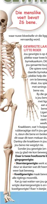 GEWRIGTE IN JOU LYF - PressReader