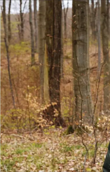 Analyse: Det kan blive nødvendigt at lukke landbruget på et areal, der er fire gange så stort ...