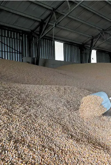 Perfect storm for Eastern Europe’s grain producers - PressReader