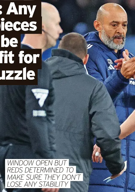 Nuno: Any new pieces must be right fit for our puzzle - PressReader