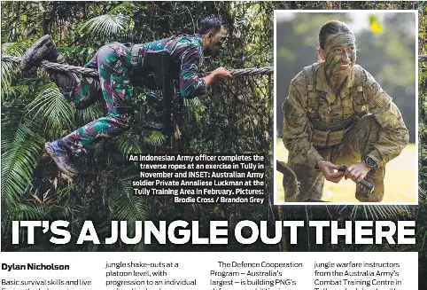 IT’S A JUNGLE OUT THERE - PressReader