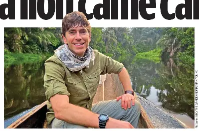 Night a lion came calling! - PressReader