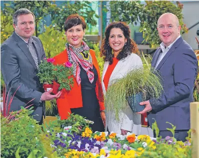 Local amateur community gardening groups encouraged to showcase at Bord Bia Bloom - PressReader