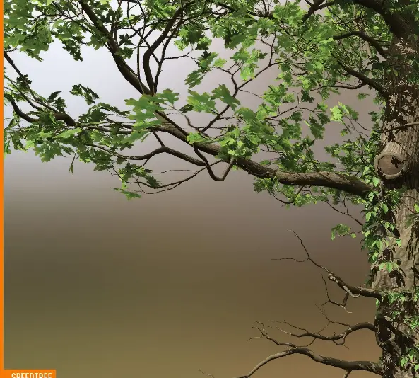 Make lifelike trees and vegetation - PressReader