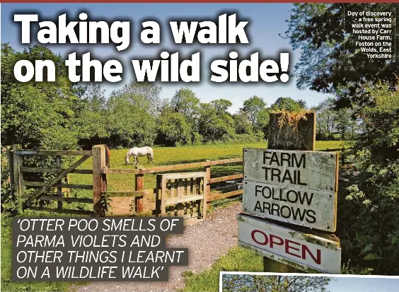 Taking a walk on the wild side! - PressReader