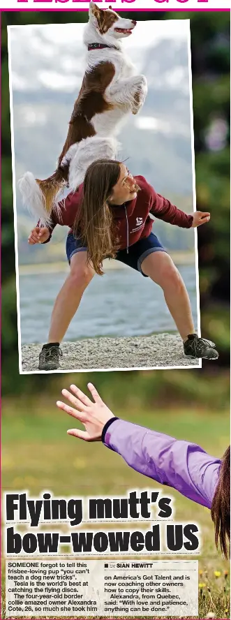 Flying mutt’s bow-wowed US - PressReader