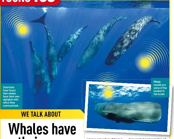 Whales have their own alphabet - PressReader