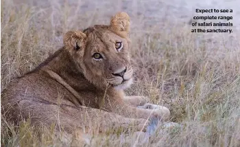 From poached to protected - PressReader