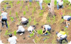 PUEBLO DE ORO, ICCP GROUP LEAD BATANGAS TREE PLANTING - PressReader