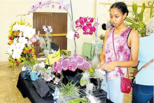 Jamaica Horticultu­ral Society flower show in bloom this weekend - PressReader