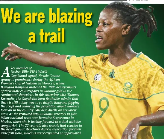 We are blazing a trail - PressReader