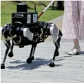 Chinese robot ‘guide dog’ aims to improve independen­ce for visually ...