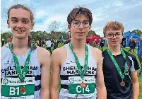 Relay delight Harriers claim five medals in Wolverhamp­ton - PressReader