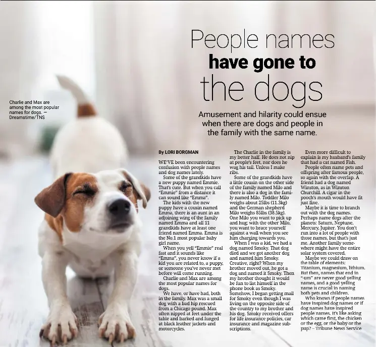 People names have gone to the dogs - PressReader