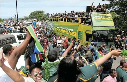 Springboks’ world cup triumph points way towards building a winning ...