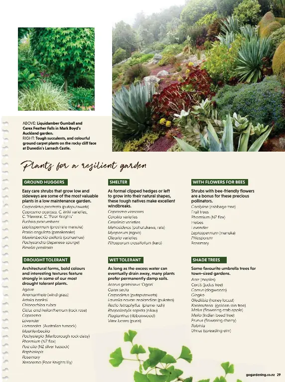 Plants for a resilient garden - PressReader