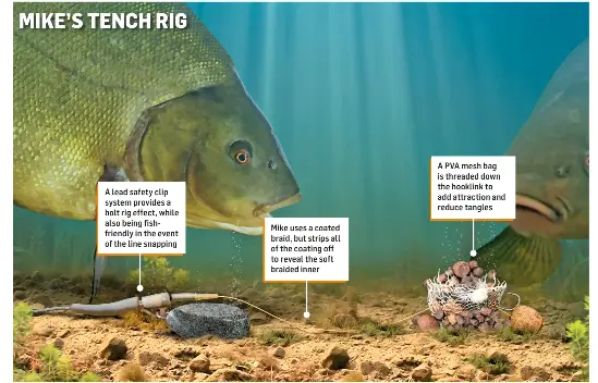 New-wave boilies and pellets for ‘old school’ tench - PressReader