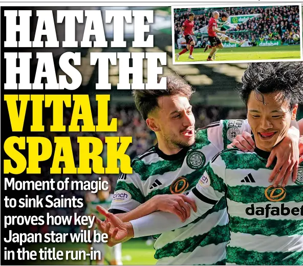 HATATE HAS THE VITAL SPARK - PressReader