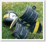 THE BUTTERFLY BOMB - PressReader