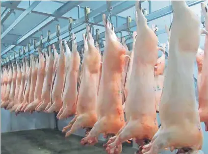 Anna Phosa is living her dream of becoming a successful pig farmer ...