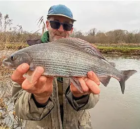 Chasing an inconic fish in thriving waters of Dorset - PressReader