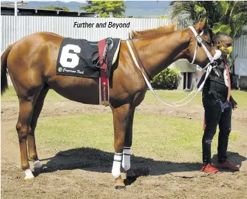 Look to Further and Beyond for Hubert Bartley Memorial Trophy - PressReader