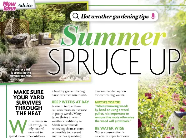 Summer SPRUCE UP - PressReader
