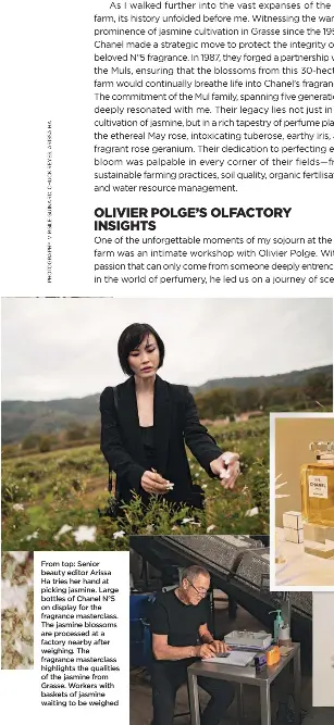 OLIVIER POLGE’S OLFACTORY INSIGHTS - PressReader
