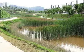 Natural methods to control water flow - PressReader