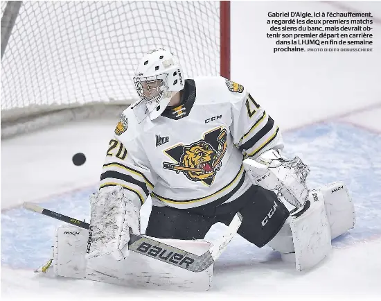 Gabriel D’aigle, le prochain surdoué québécois ? - PressReader